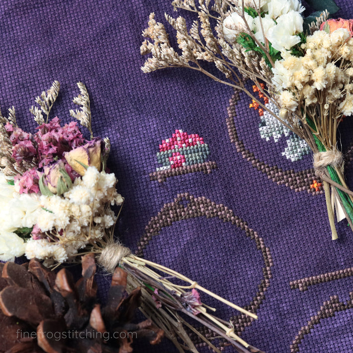 User Portal: Femurs and Fungi – Fine Frog Stitching